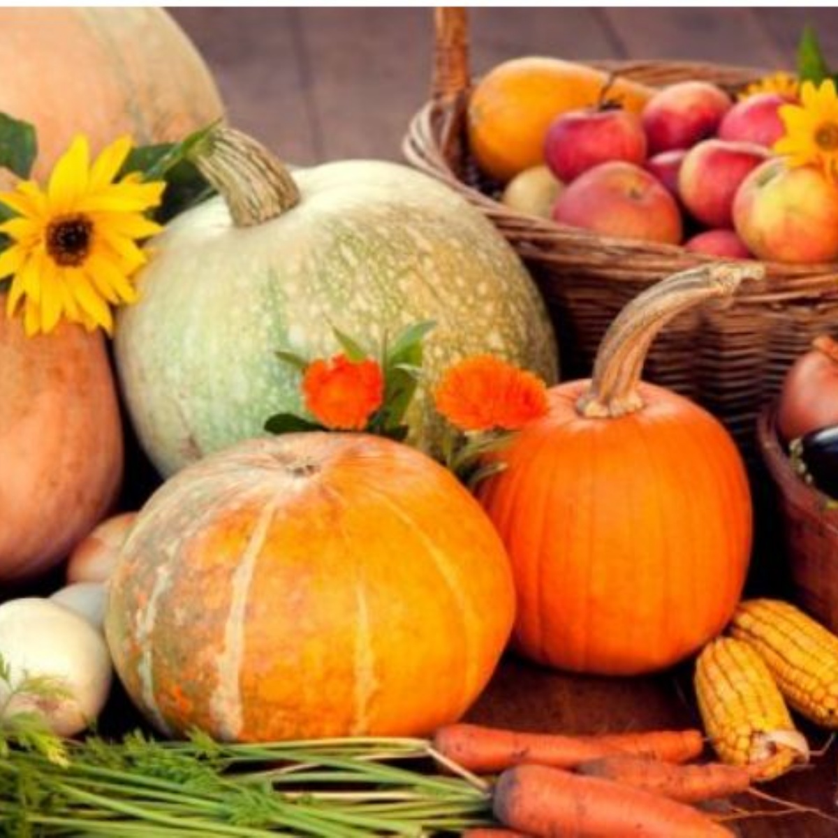 Conisbrough Ivanhoe Primary academy - Homework Front Cover